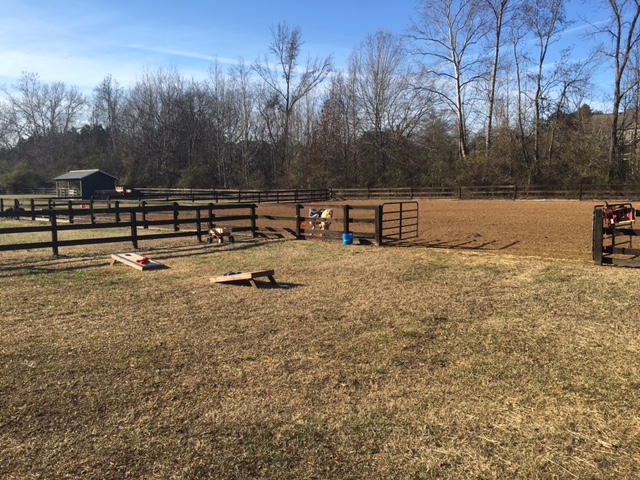 COME TO US | petting-zoo