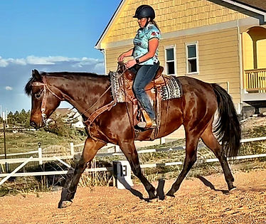 Allocated Potential | Diamond Eclipse