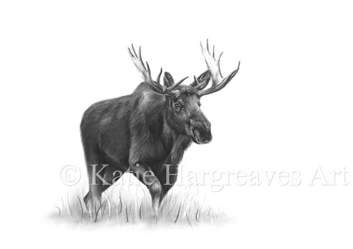 'Skogens Konung' | Katie Hargreaves Art