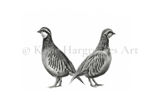 'Partridge Pair' | Katie Hargreaves Art