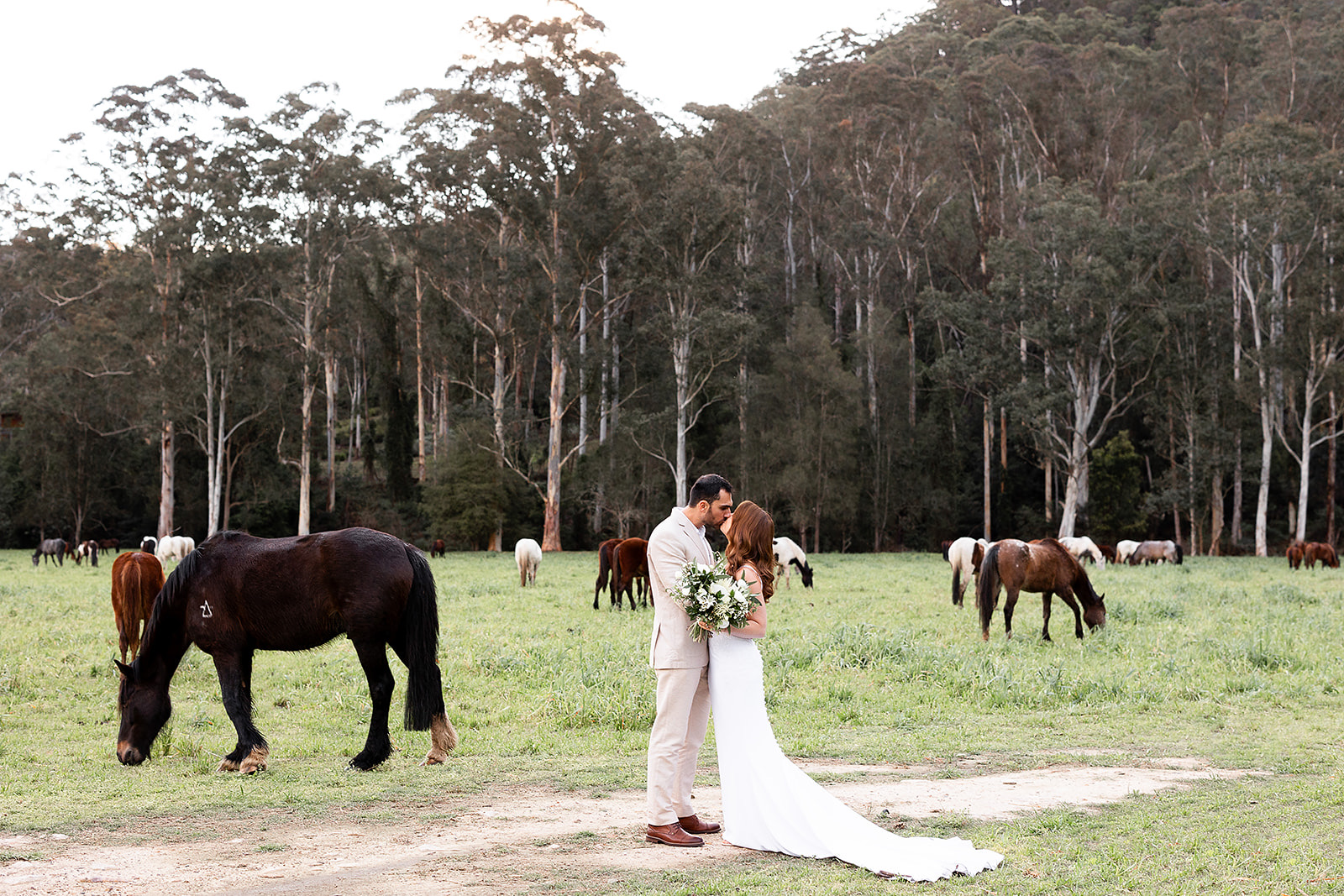 Michelle & Sorrel's wedding