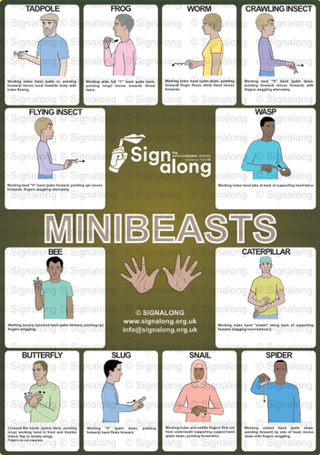 Mini Beasts | Signalong