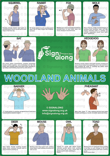 Woodland Animals | Signalong