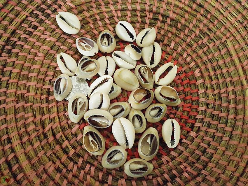 Les Cauris divinatoires c'est quoi?