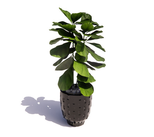 100 Plants - RFA | JG Revit Families