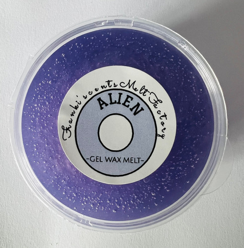 Alien | The Melt Factory