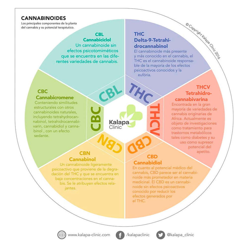 Efectos Terapéuticos de los Cannabinoides