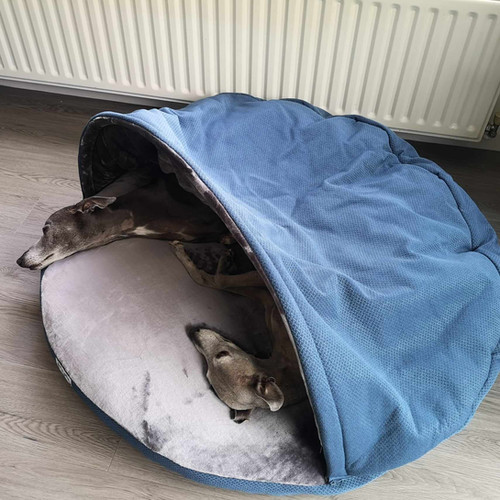 Signature 2 in 1 zip off hood Cave Bed 110cm Blue with Grey interior ...