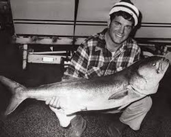 How Big Do Bluefish Really Get on Cape Cod?