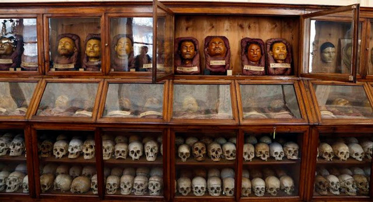 Museo Cesare Lombroso