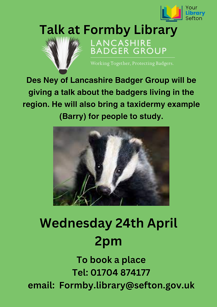 The April talk at Formby Library is all about Badgers