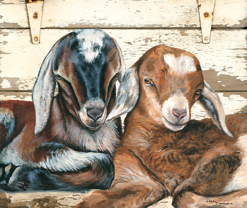 Baby Goats | Art by Cheri