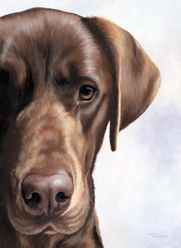 Chocolate Lab Head | Art by Cheri