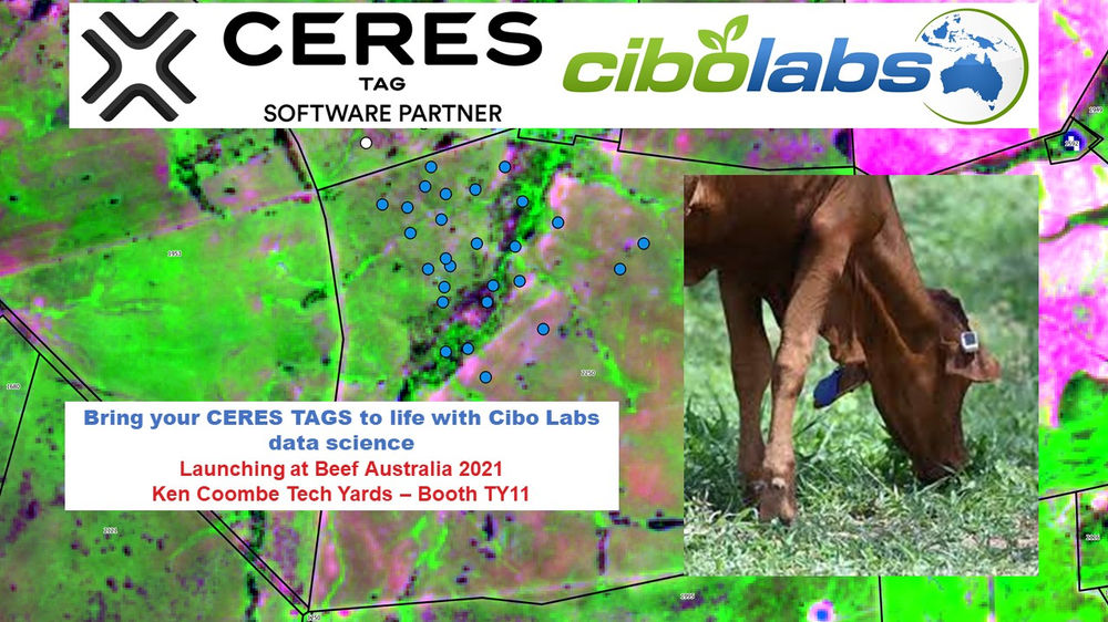 Bringing CERES TAGs to life with Cibo Labs data science