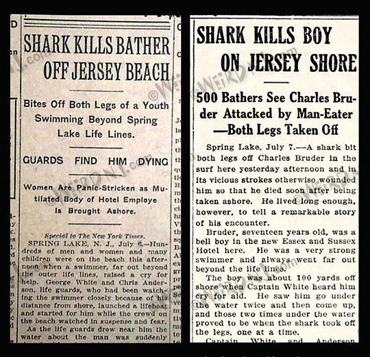 Blood in the Water- Remembering the 1916 Shark Attacks