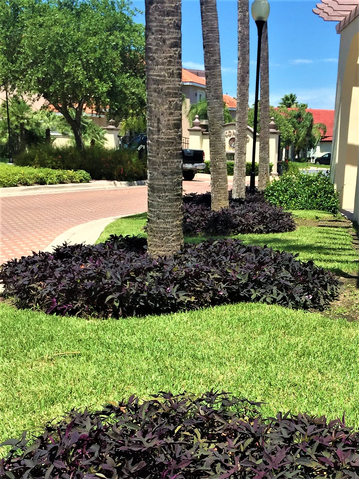 Landscape Maintenance | McAllen | Barrioslandscaping.com