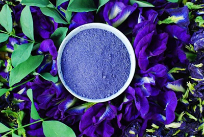 Organic Blue Matcha Powder (Premium Grade) | butterflypeapowder-c