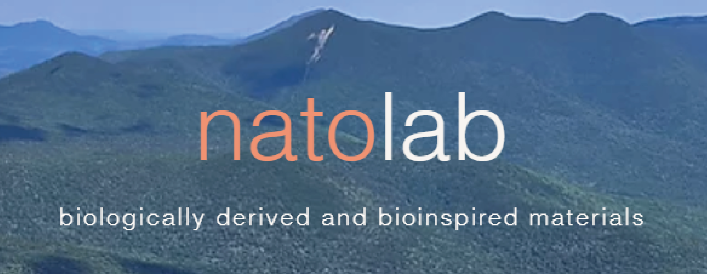 chemistry | natolab | oldenhuis research group