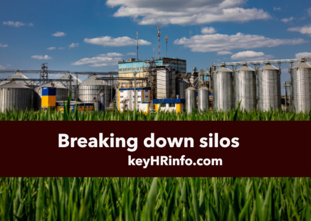 Breaking Down Silos: A Strategic Path to Enhanced Collaboration