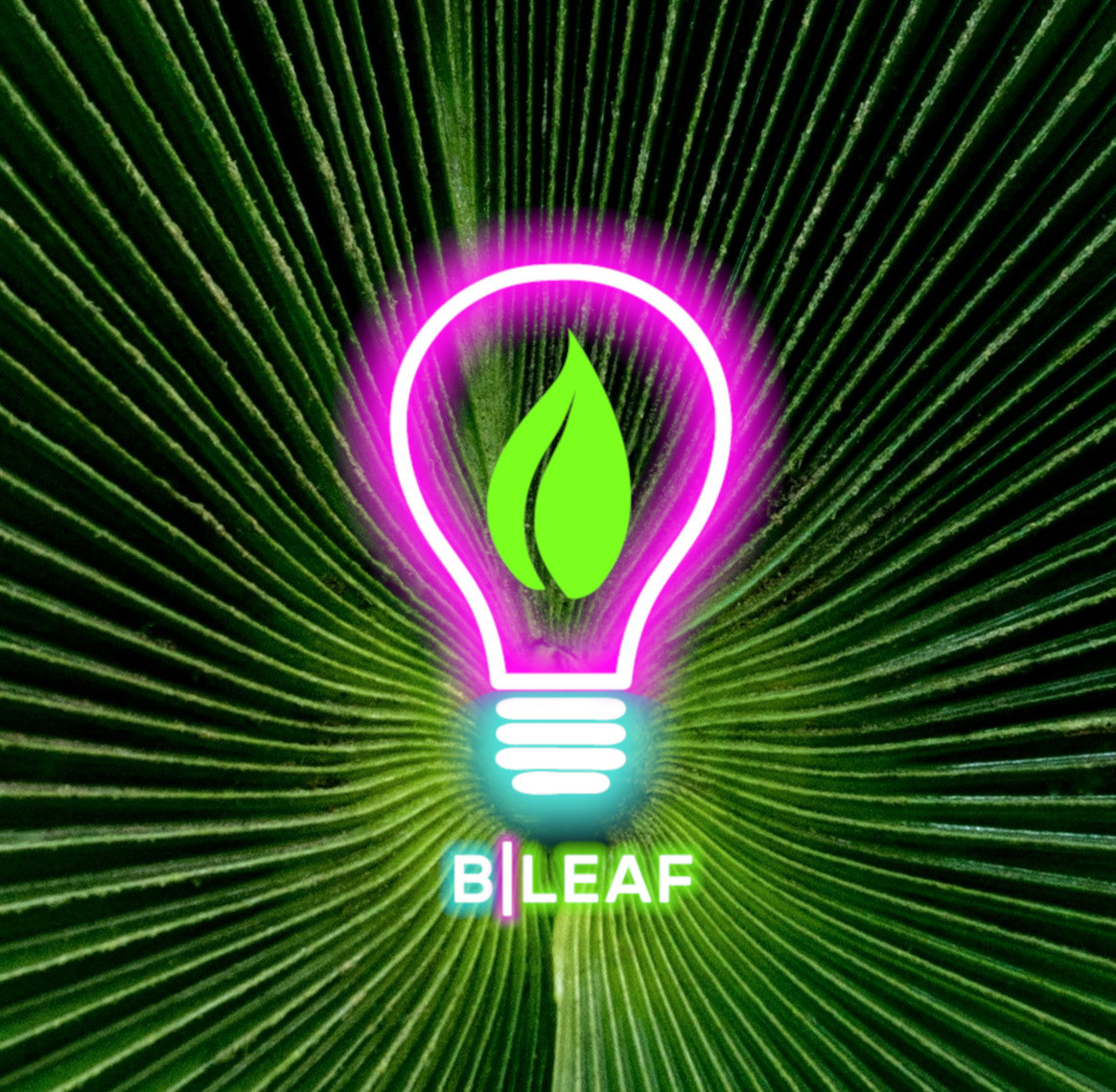 B Leaf | karaoke bar and smokeshop | 1808 S Young Cir, Hollywood, FL 33020