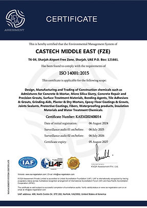 OUR HISTORY | Castech