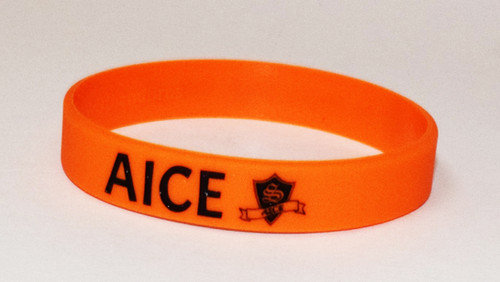 AICE Wristband | Www Shsaice Com