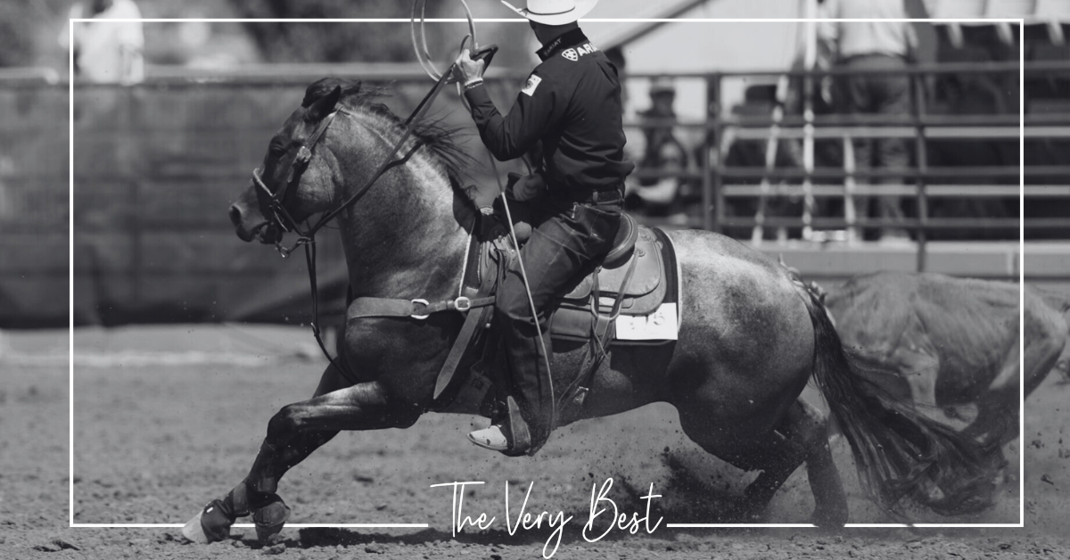 $400,000 Added to Solo Incentive : Solo Select Ready to Launch One of ...