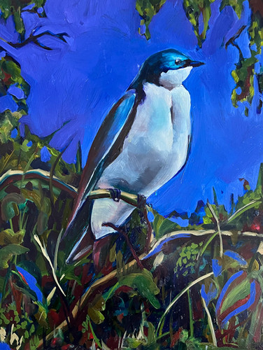 Sam McCoy | Local Bird: Blue Bird | VenviArtGallery