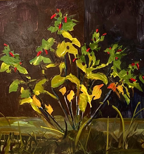 Sam McCoy | Plein Air: Delicate Shrub | VenviArtGallery