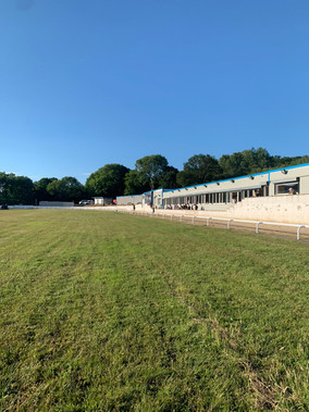 Greyhounds | Valley Greyhounds | Wales