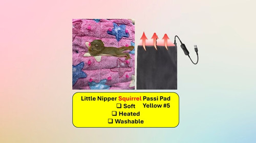Little Nipper Squirrel Passi Pad Yellow #5 (8 pacifiers) | The Original ...