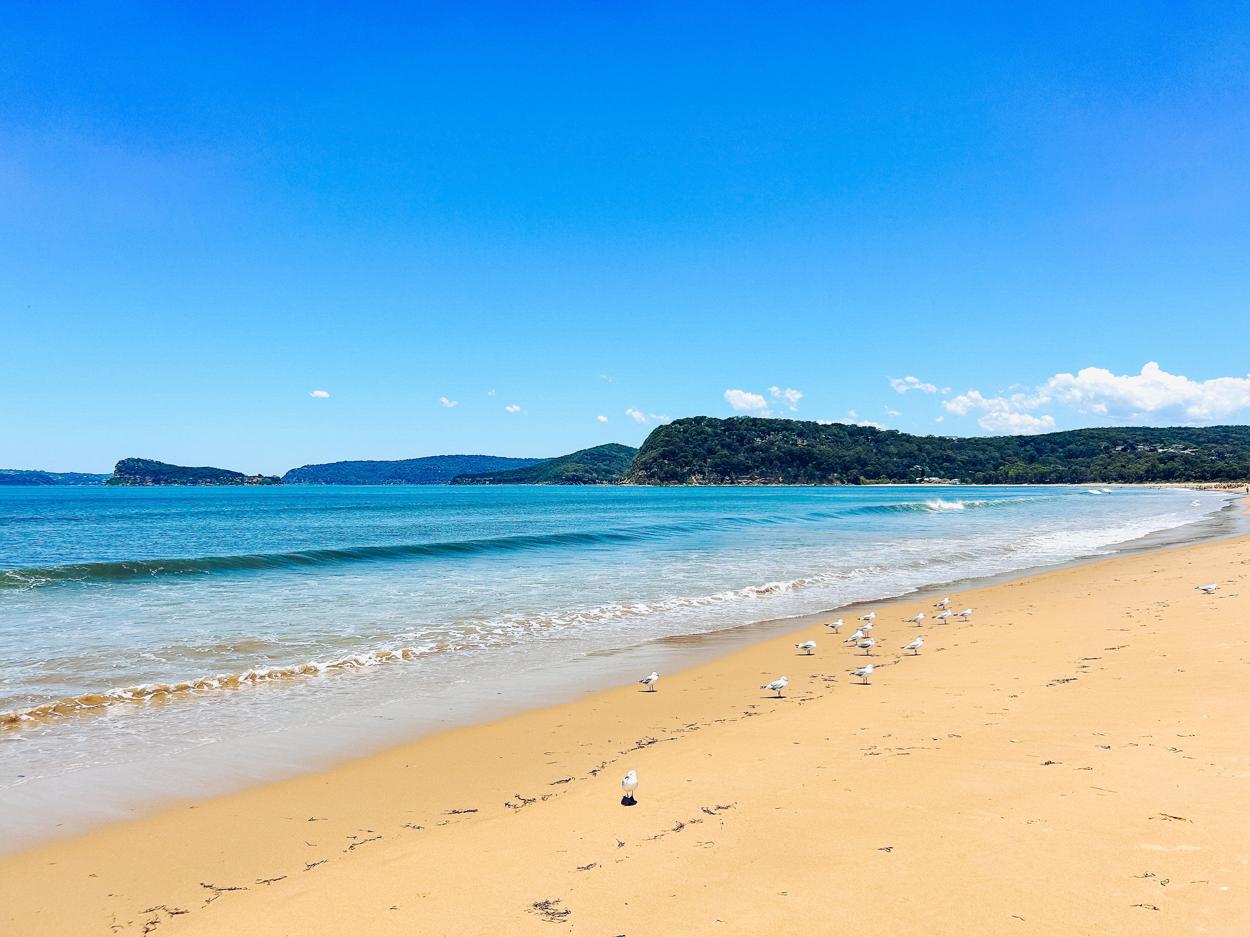 UMINA