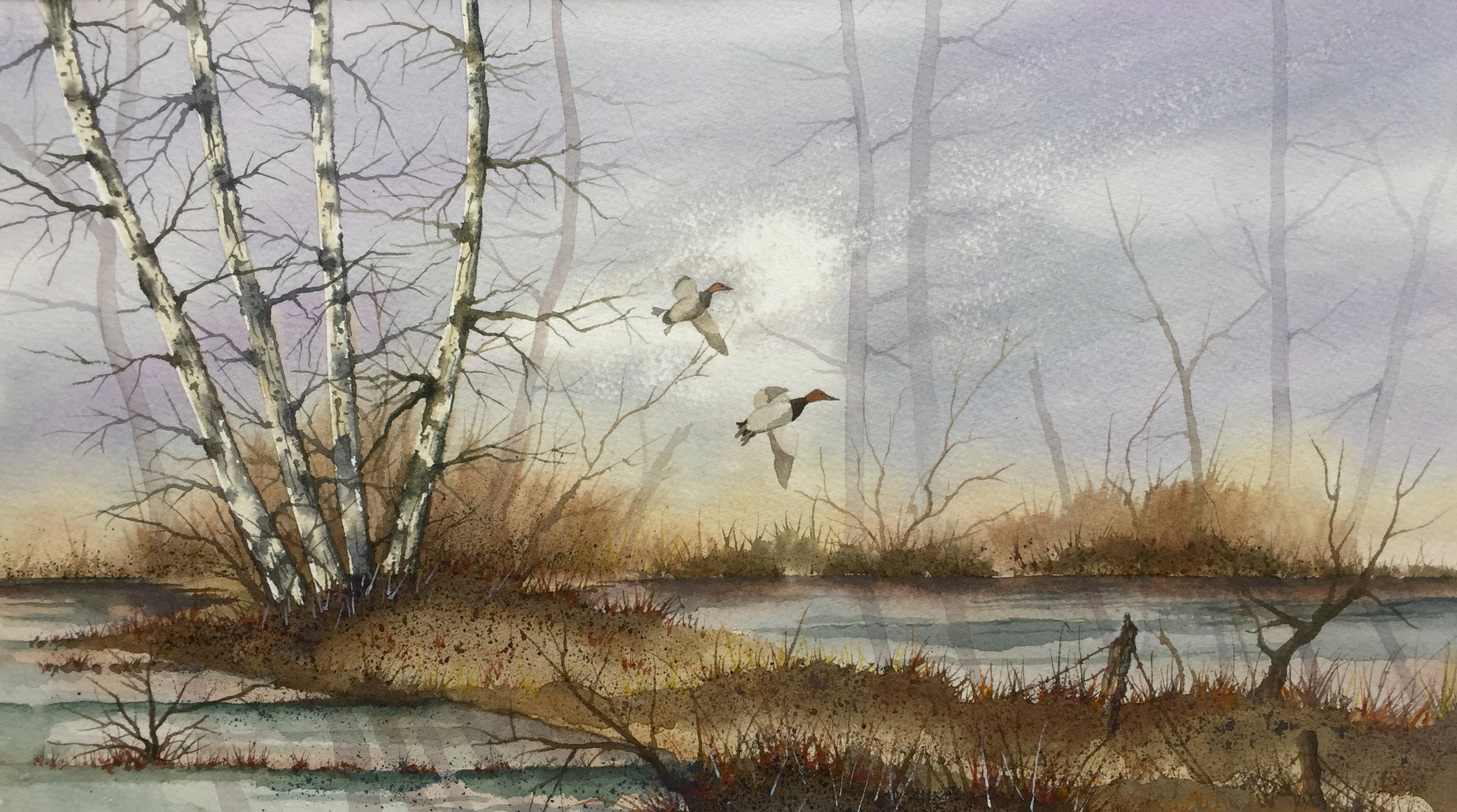 Woodland Watercolor Portfolio Gallery of Images