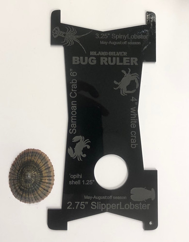 Bug Ruler | islandsilver