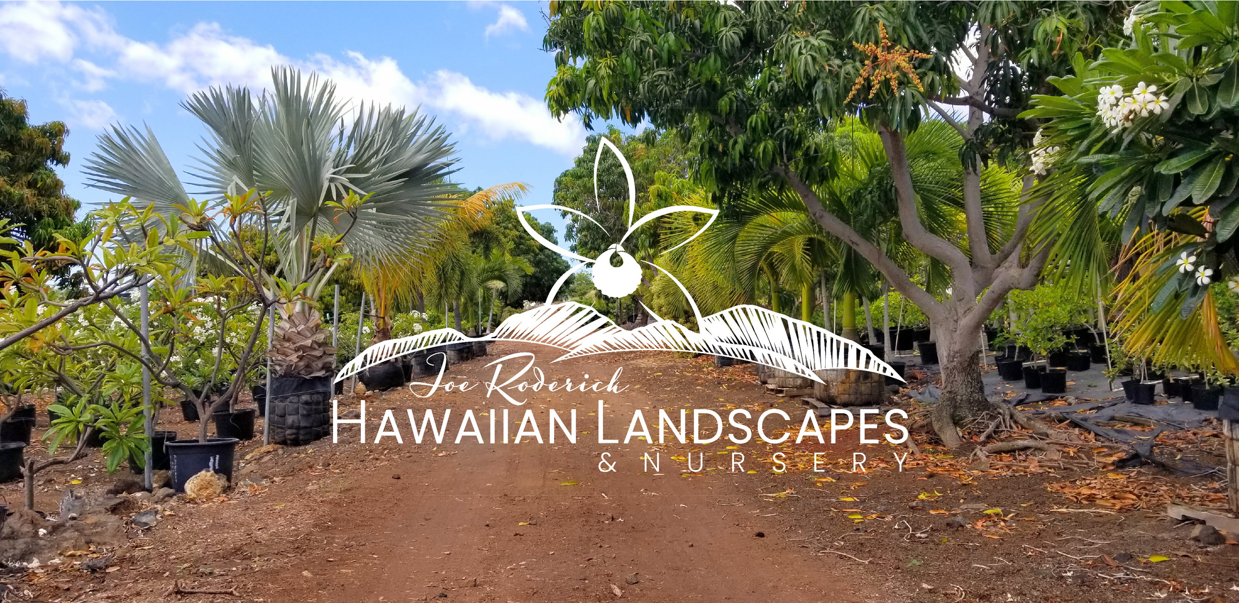 Joe Roderick Hawaiian Landscapes Inc. | Landscaping Services | Kailua ...
