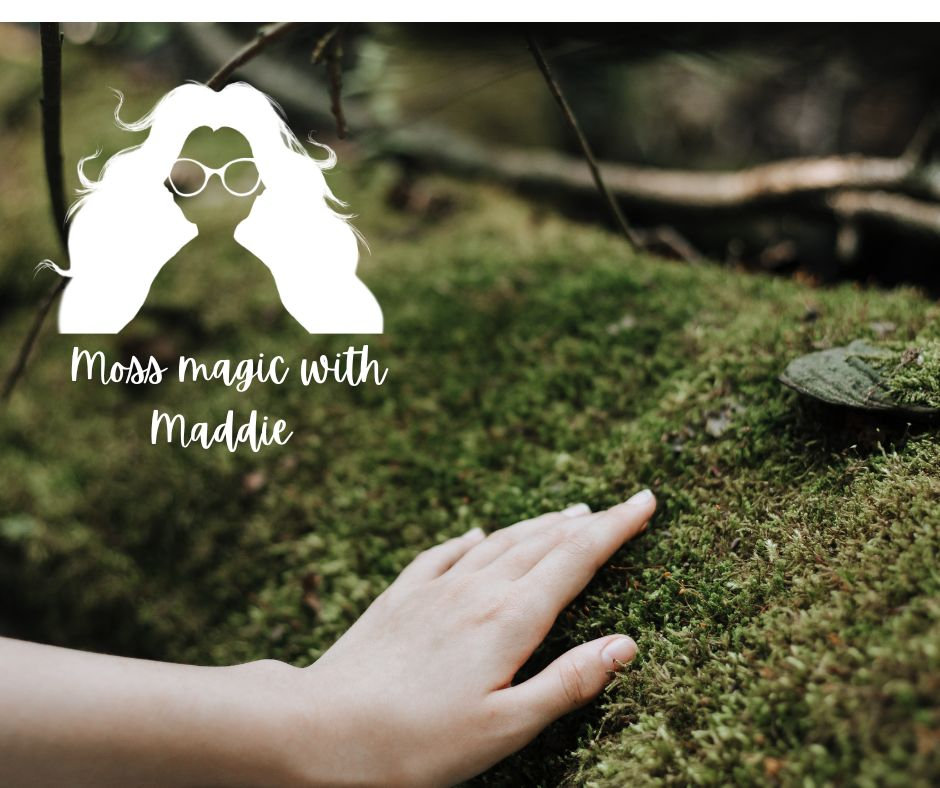 We all need a bit of 'English Moss Magic'!