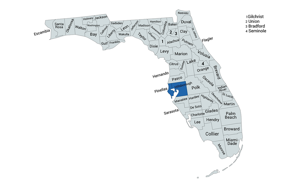 2024 Florida 14th Congressional District General Election Results