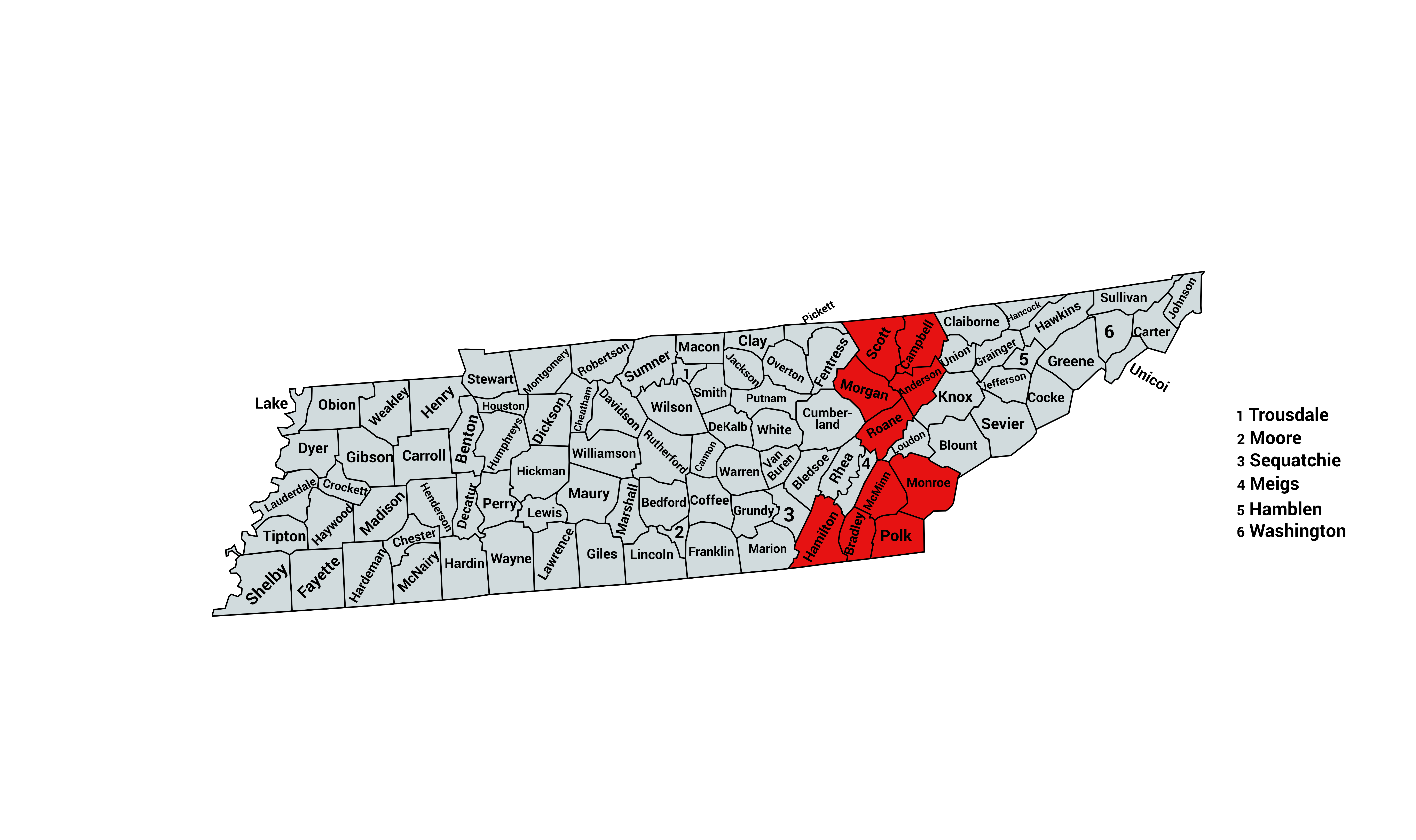 2024 Tennessee 3rd Congressional District Election Results | BallotWire