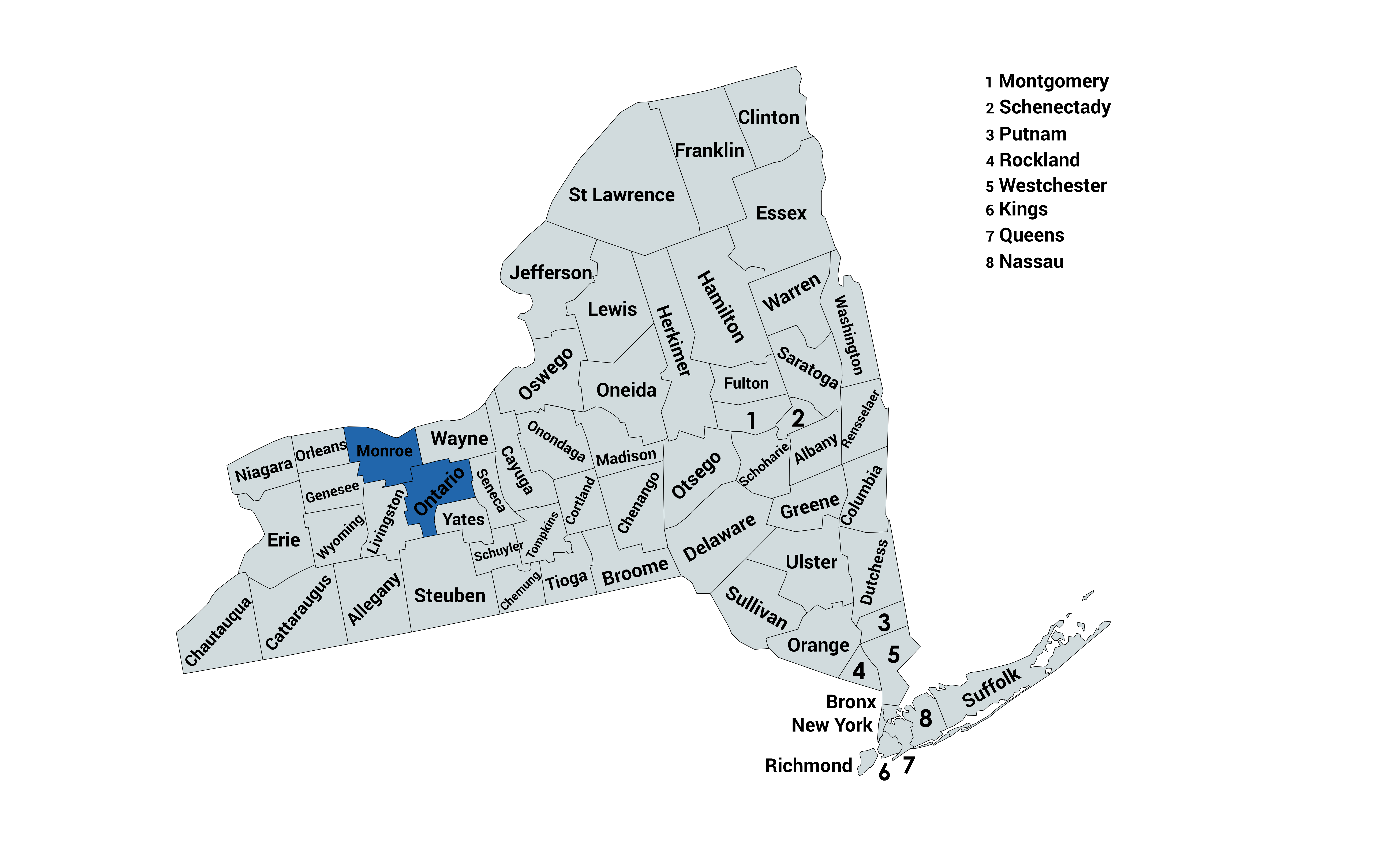 2024 New York 25th Congressional District Election Results | BallotWire