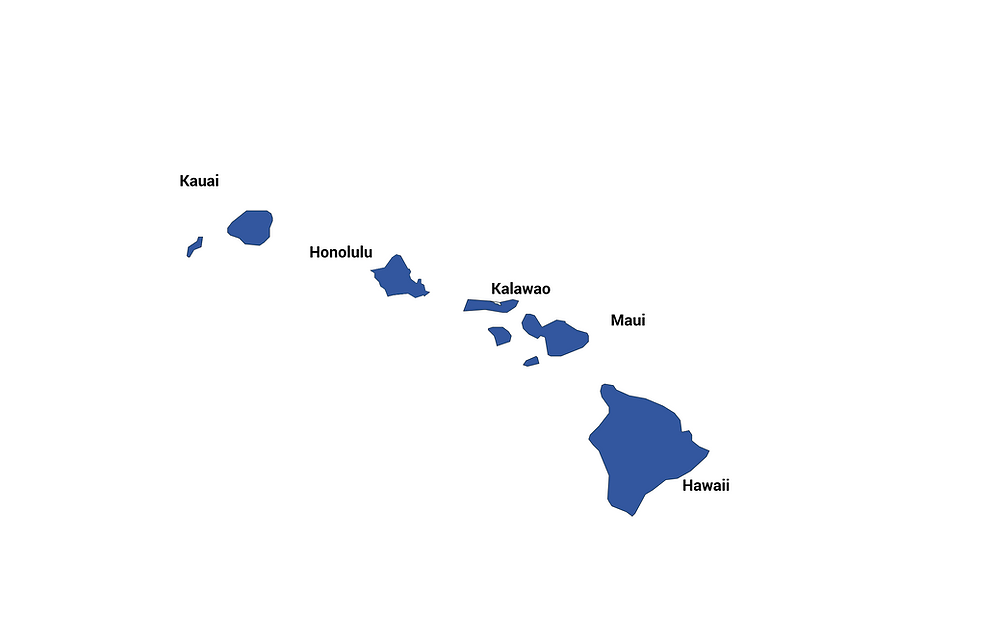 2022 Hawaii 2nd Congressional District Election Results by County