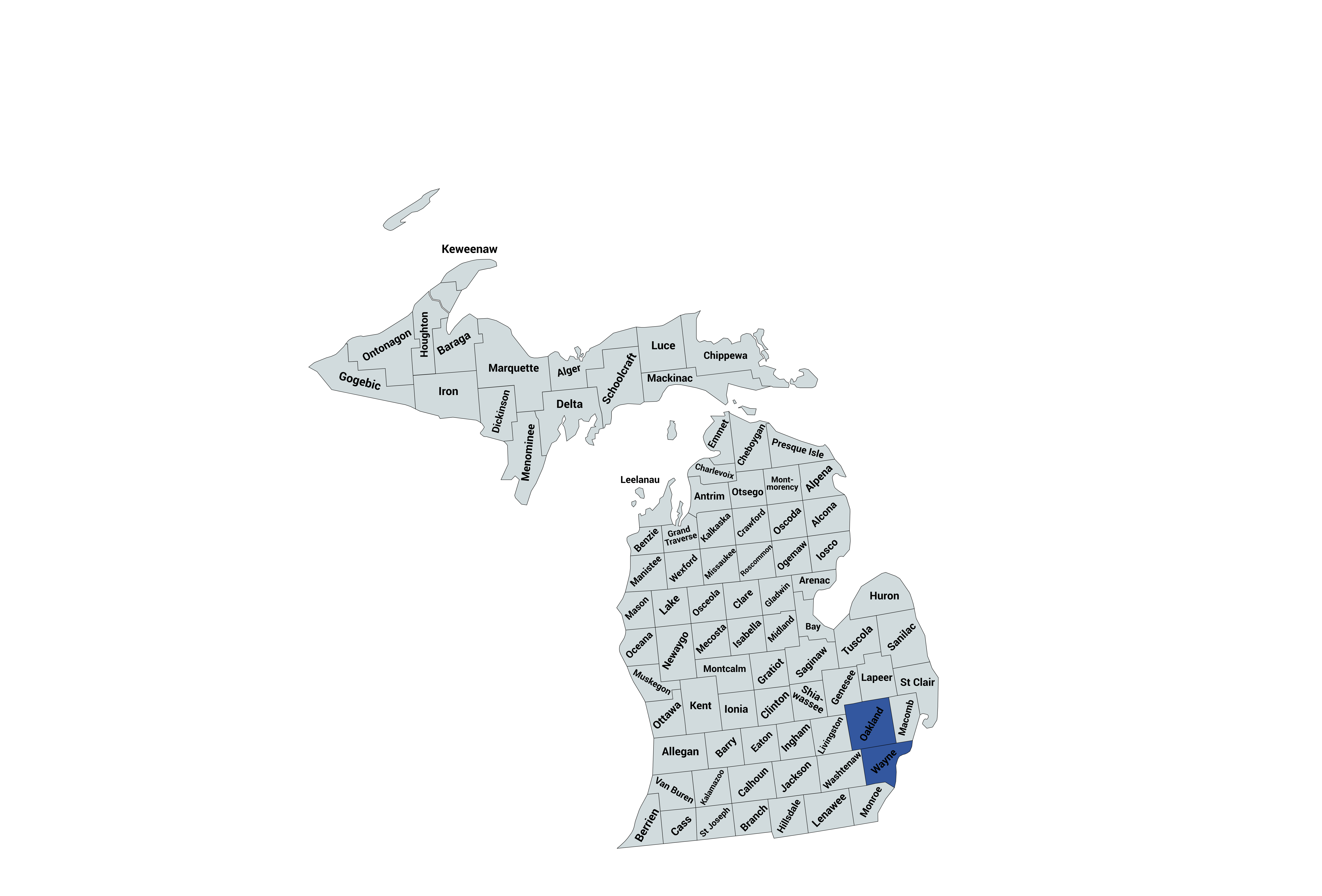 2024 Michigan 12th Congressional District Election Results | BallotWire