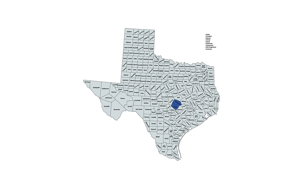 2024 Texas 37th Congressional District Election Results