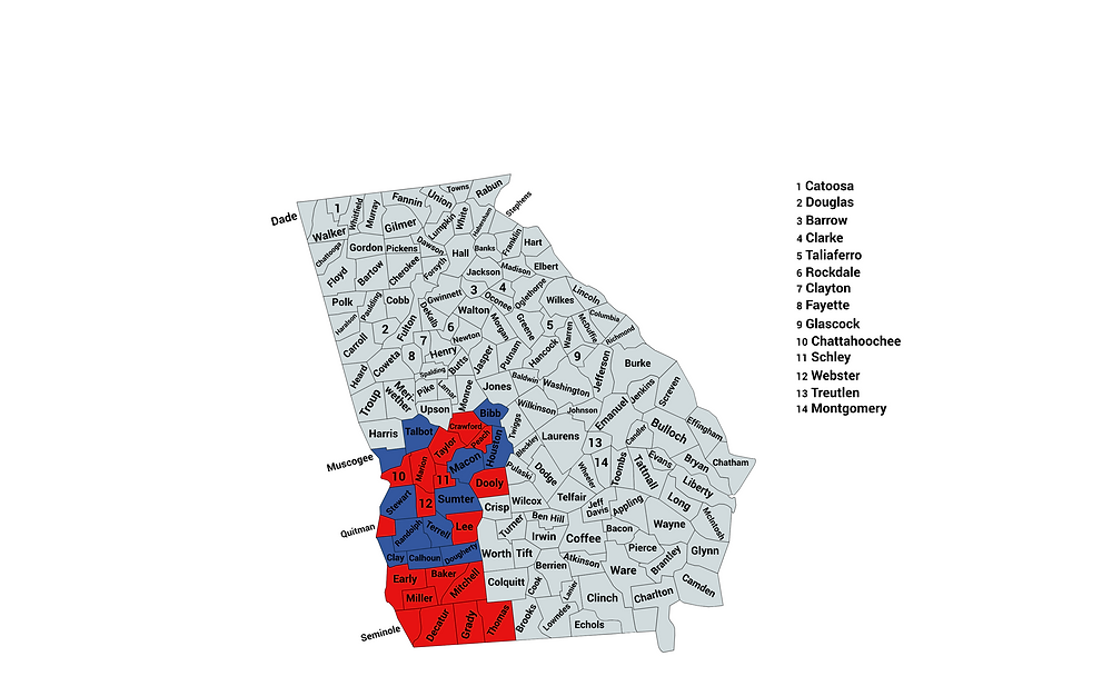 2022 Georgia 2nd Congressional District Election Results
