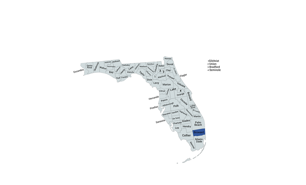 2022 Florida 25th Congressional District General Election Results