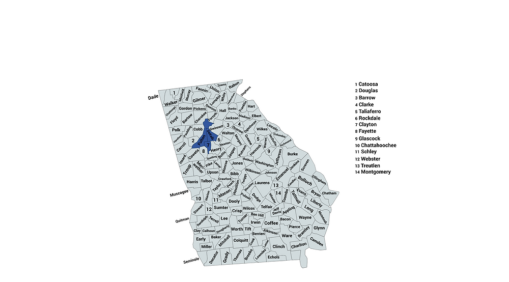 2022 Georgia 5th Congressional District Election Results