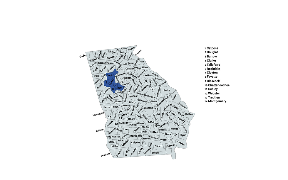 2022 Georgia 13th Congressional District Election Results