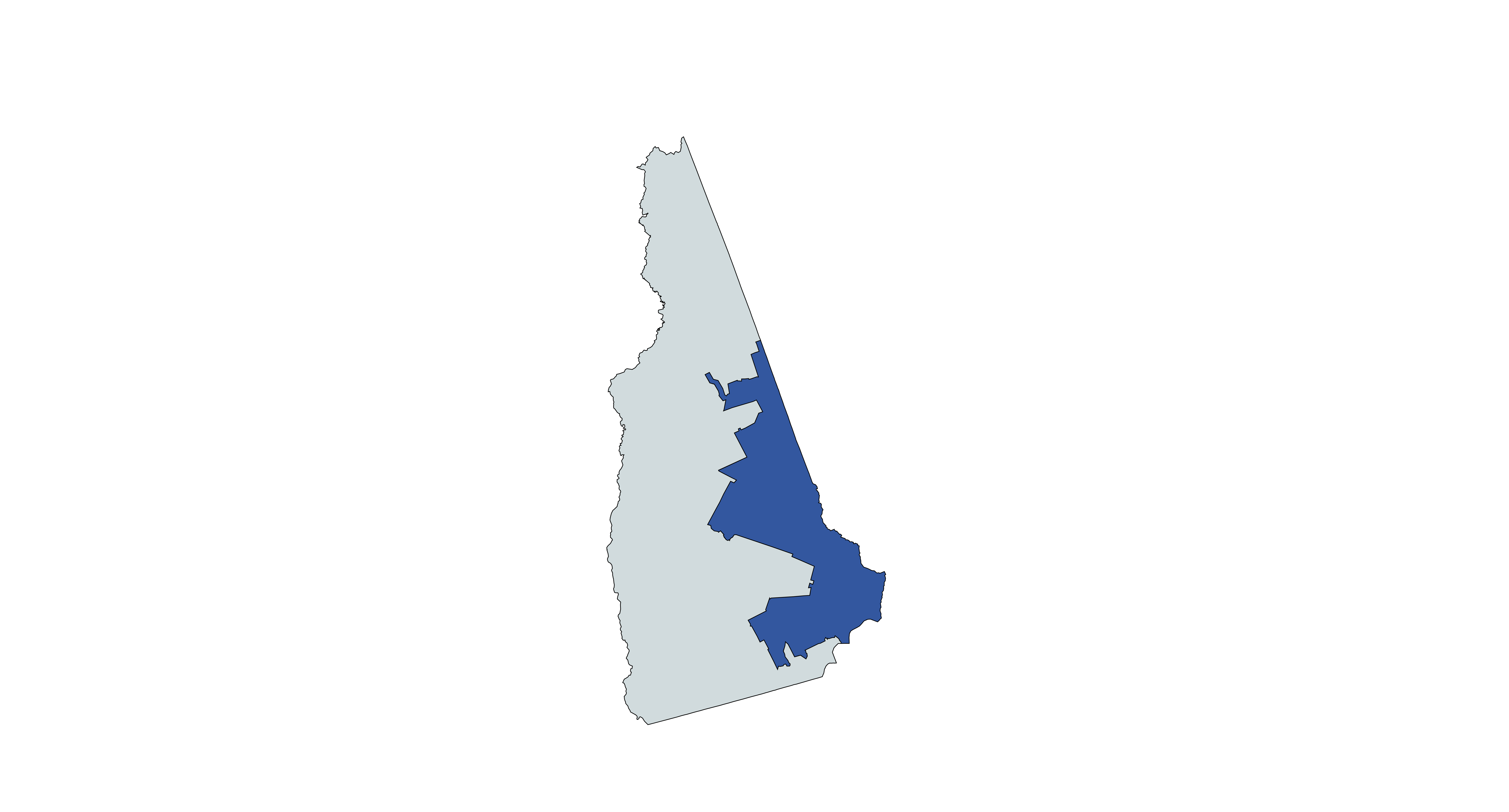 2024 New Hampshire 1st Congressional District Election Results | BallotWire