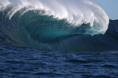 JS193-Cyclops | jamiescottimages