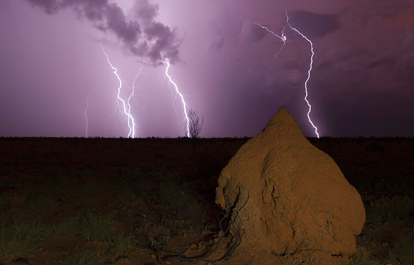 JS442-Pilbara Lightning Show | jamiescottimages