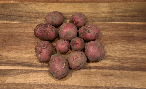 New Red Potatoes | Sunnynaturefarm